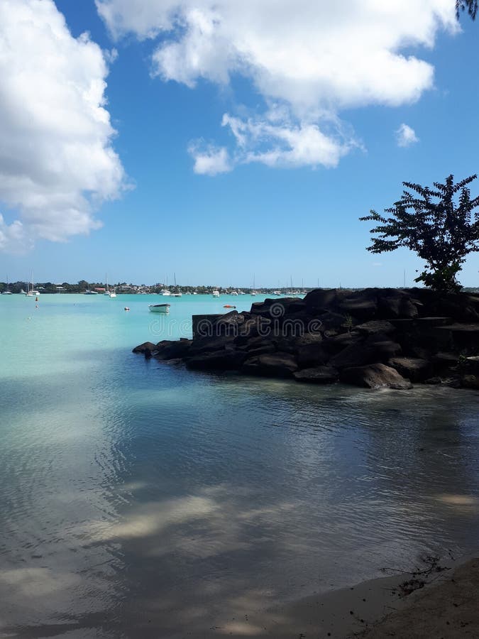Beach Scenery with Rocks with Plant Under Blue Sky Stock Image - Image ...