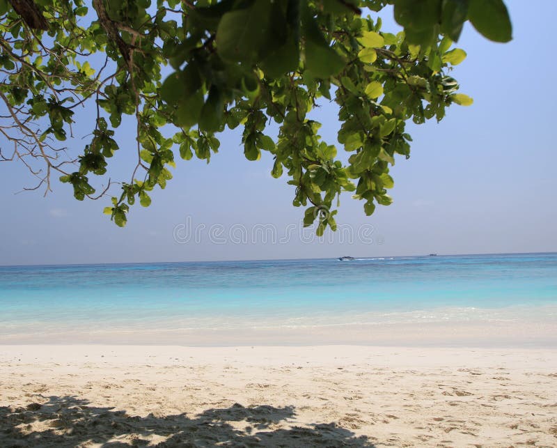 Beach scenery stock photo. Image of relax, waves, sunny - 89276266