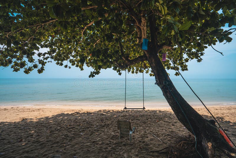 The Beach and the Sea during the Day Stock Image - Image of person ...