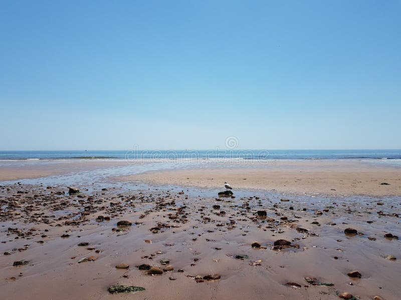 Beach and Sea in England, Exmouth Stock Image - Image of coast, rock ...