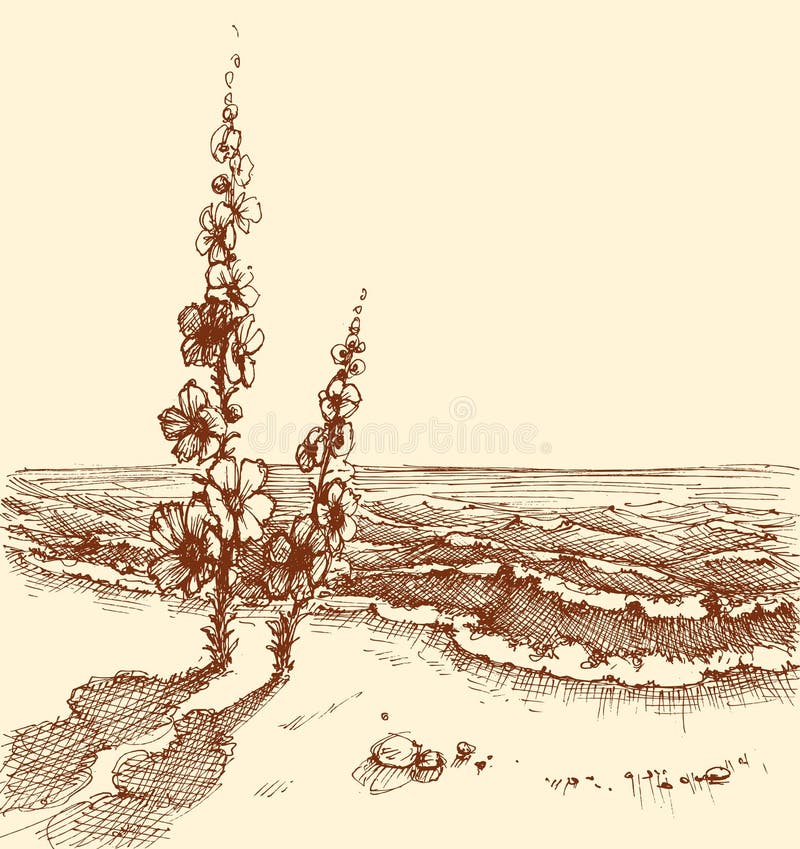 Beach and sea hand drawing stock vector. Illustration of page - 141471908