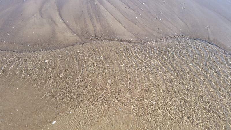 Beach and Sea Level stock image. Image of bank, outside - 179261781