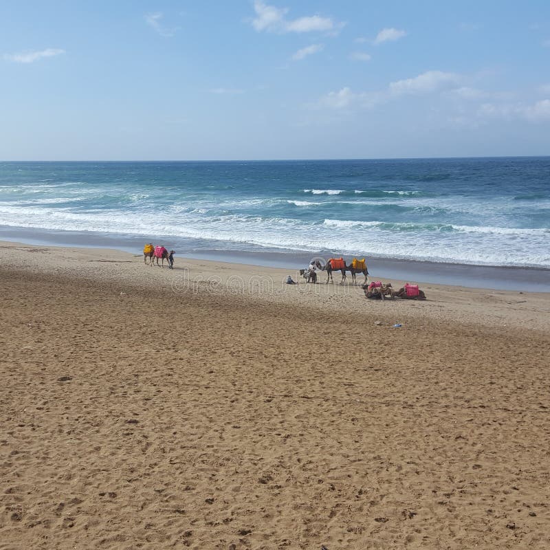 Mehdia beach morocco stock image. Image of morocco, mehdia - 64229945