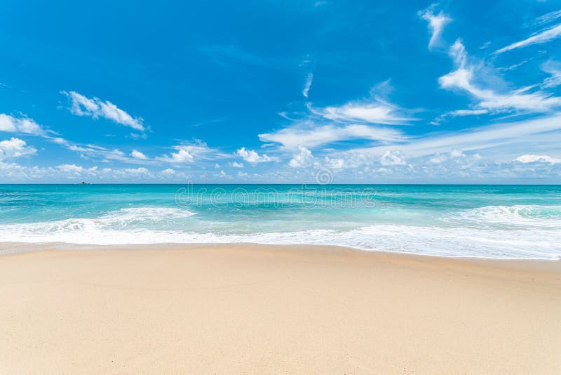 Beach Sea Sand Background, with Sunny Sky Stock Image - Image of branch ...