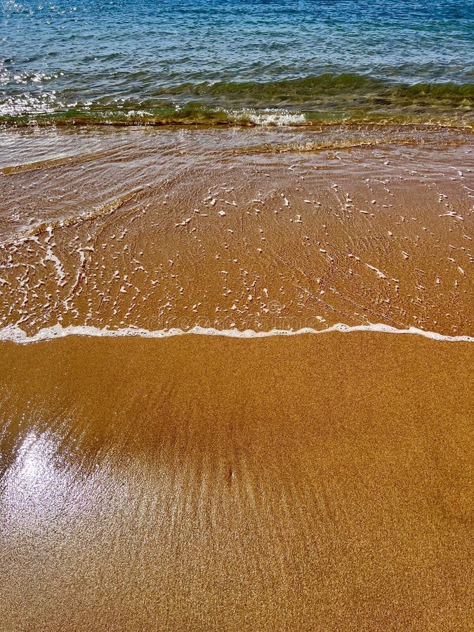 Beach and Sea stock photo. Image of clean, sandy, nature - 313942534