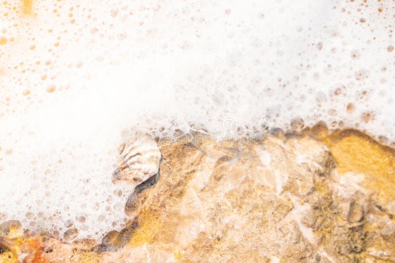 Beach with Sea Shell and Wave Foam.bubble Wave Swashing Under the ...