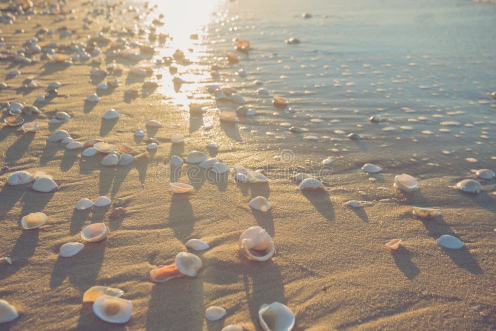 Beach stock image. Image of bright, closeup, concept - 75445127