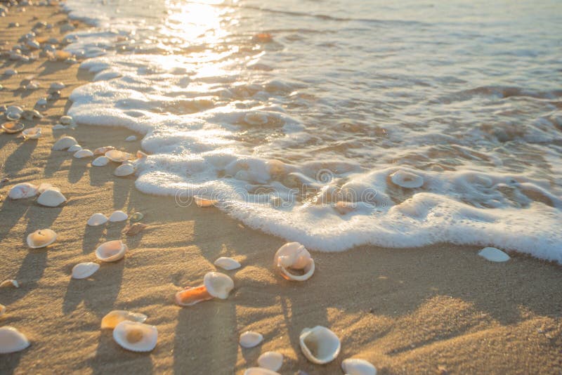 Beach stock photo. Image of paradise, object, adventure - 77470698