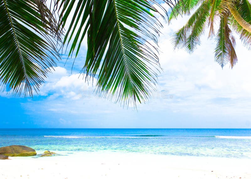 Beach shade stock photo. Image of exotic, dash, isolated - 20414718