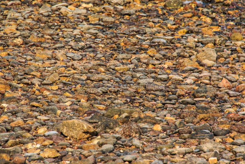 Beach sharp pebbles stock photo. Image of grey, color - 38588880