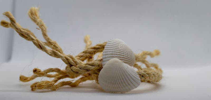 1,001,443 Object Texture Stock Photos - Free & Royalty-Free Stock ...