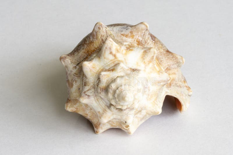 Jeiel Shamblee (Jeiman) - Photographer profile