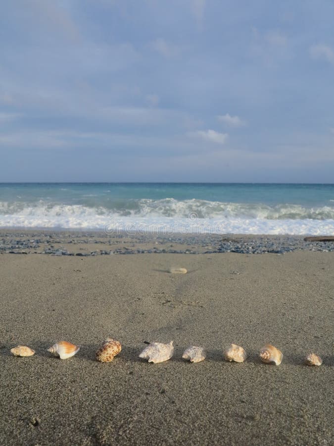 Shell beach stock photo. Image of nature, beach, caribbean - 30068188