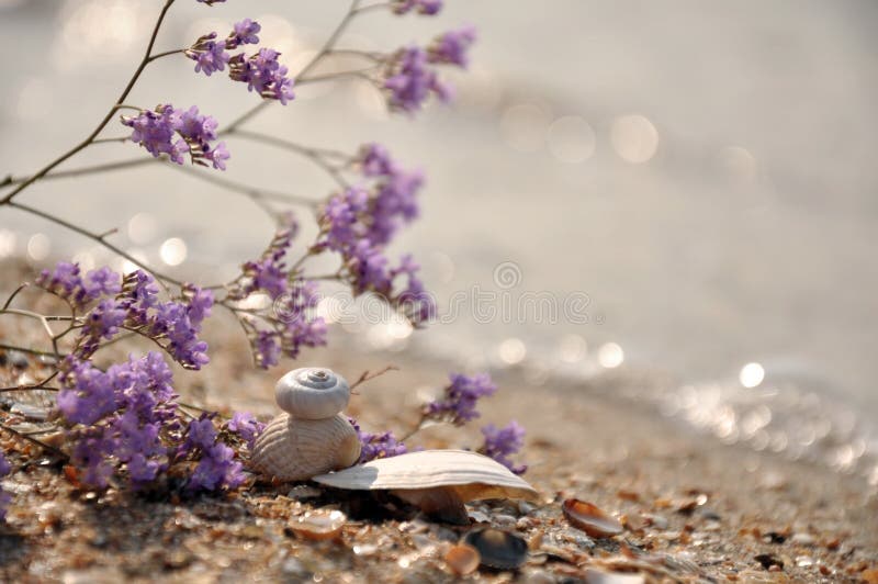 On the beach stock image. Image of sunny, highlights - 62290005