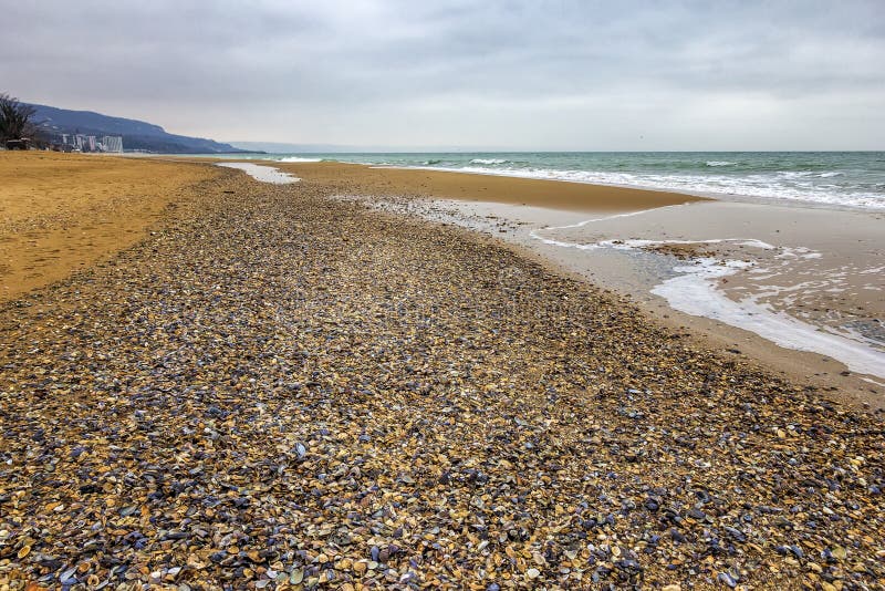 Beach with Shells in the Foreground on the Sand and Sea Waves, Stock ...