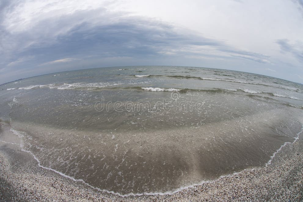 Beach of shells stock image. Image of background, sand - 94593903