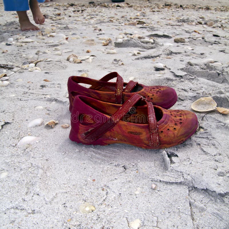 Shells on the Beach stock photo. Image of lettered, sand - 13282872