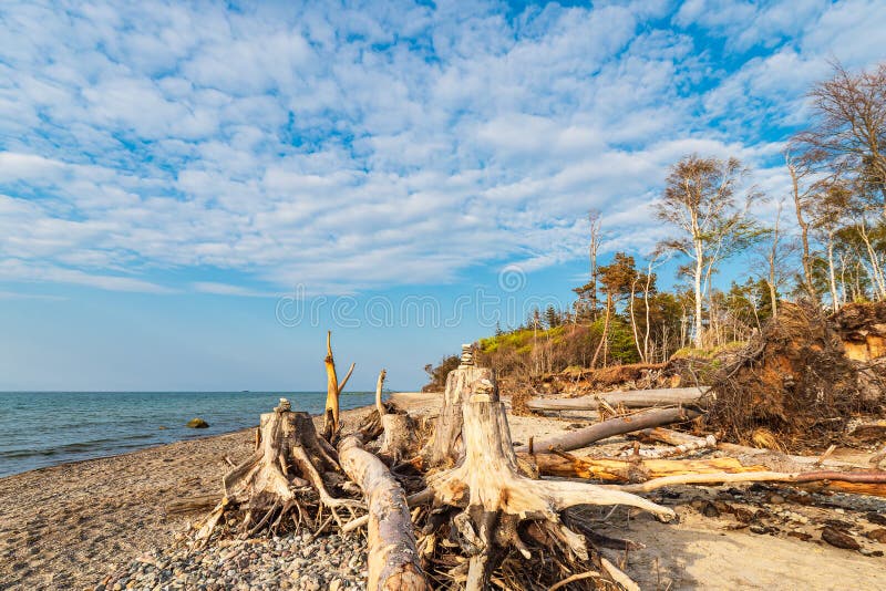 Beach on Shore of the Baltic Sea in Graal Mueritz, Germany Stock Photo ...