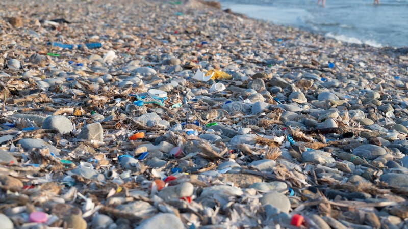 Beach Shore with Stones and a Lot of Garbage and Microplastics. Stock ...
