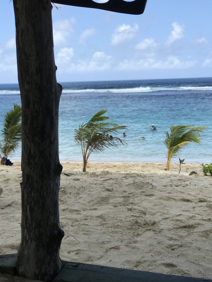 Beach shots stock photo. Image of front, blue, samoan - 137979322