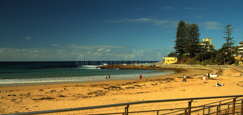 Beach Side stock image. Image of ocean, sand, water, pine - 119887