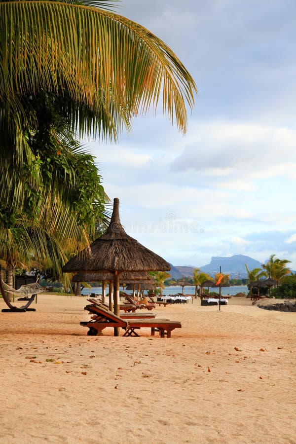 Beach side stock photo. Image of trees, beach, beautiful - 26836684