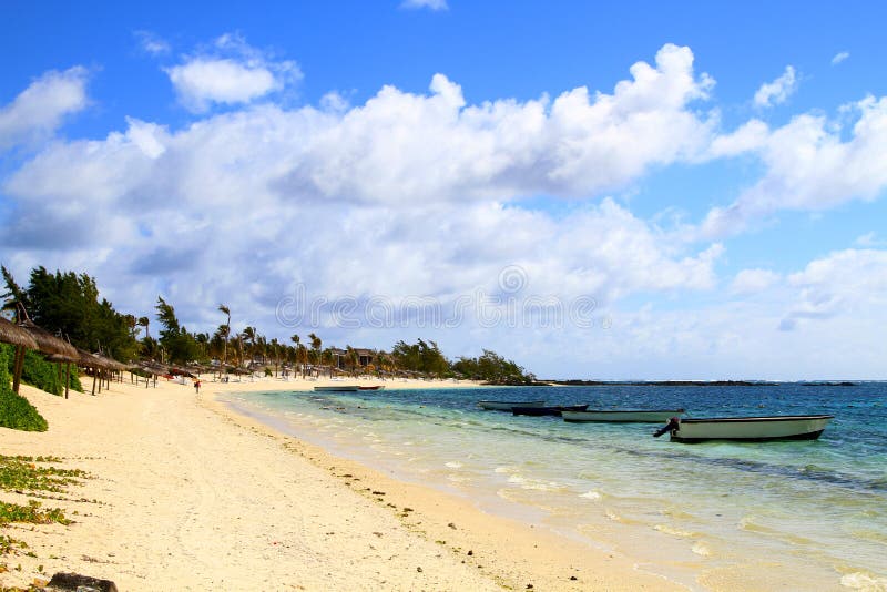 Beach side stock photo. Image of trees, palm, landscape - 26860526