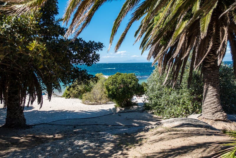 Beach side stock image. Image of tree, trees, mountains - 119415867