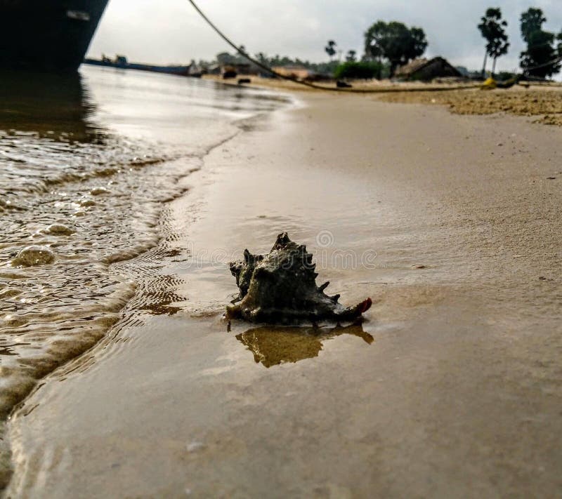 777 Rameshwaram Beach Stock Photos - Free & Royalty-Free Stock Photos ...