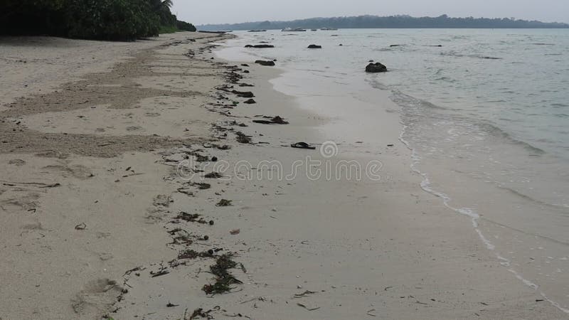 Beach side view stock video. Video of legs, trip, nature - 338036855