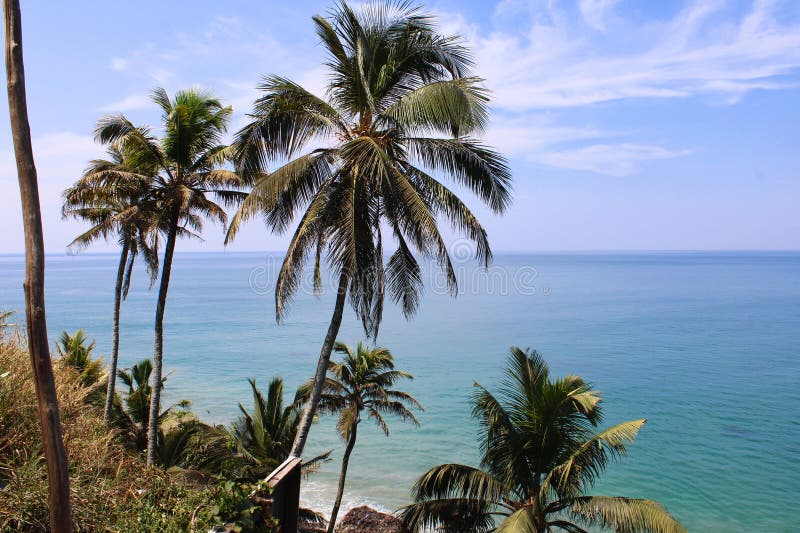 Beach Side View Coconut Trees Stock Photo - Image of beach, view: 294514026