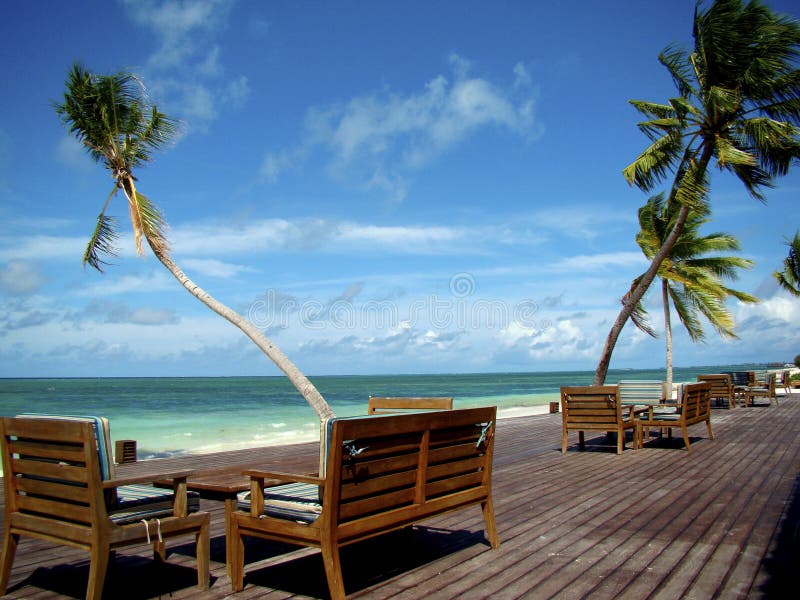 Beach side stock image. Image of coconut, sand, water - 55827193