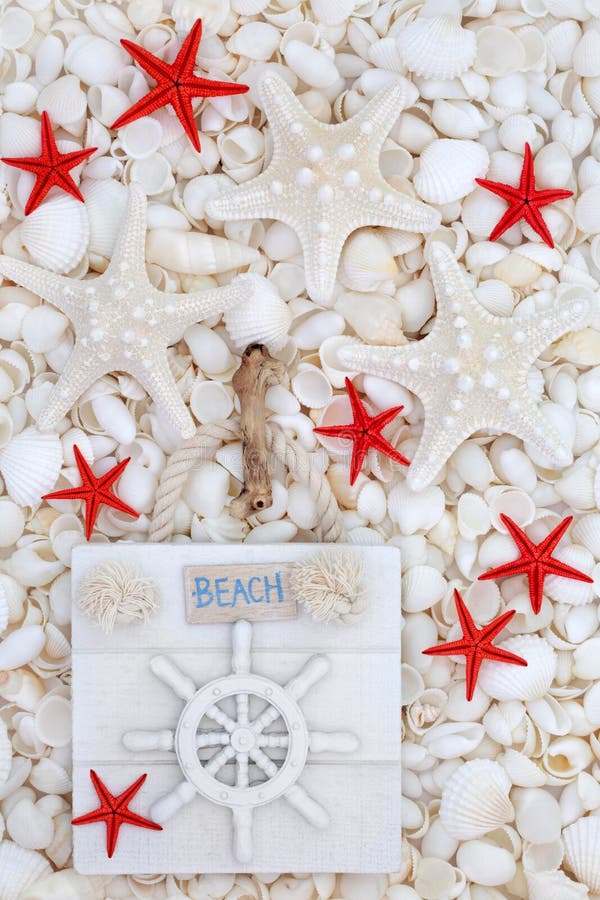 Beach Sign with Starfish and Seashells Stock Image - Image of aquatic ...