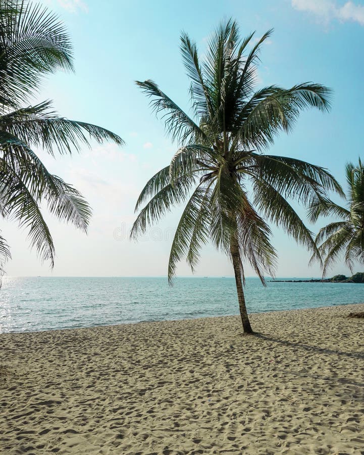 Beach in Sihanoukville. Palm Trees and Blue Sea Stock Image - Image of ...
