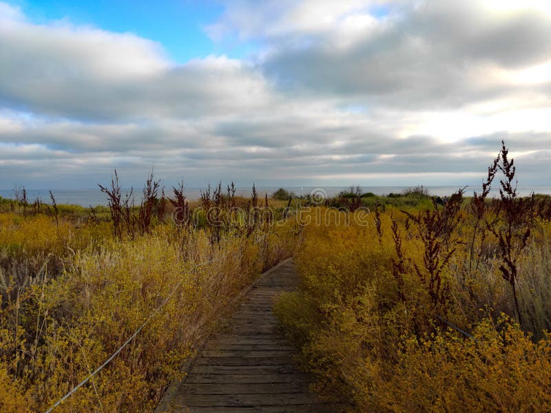 At the Beach Nature California Beach Stock Image - Image of wetland ...