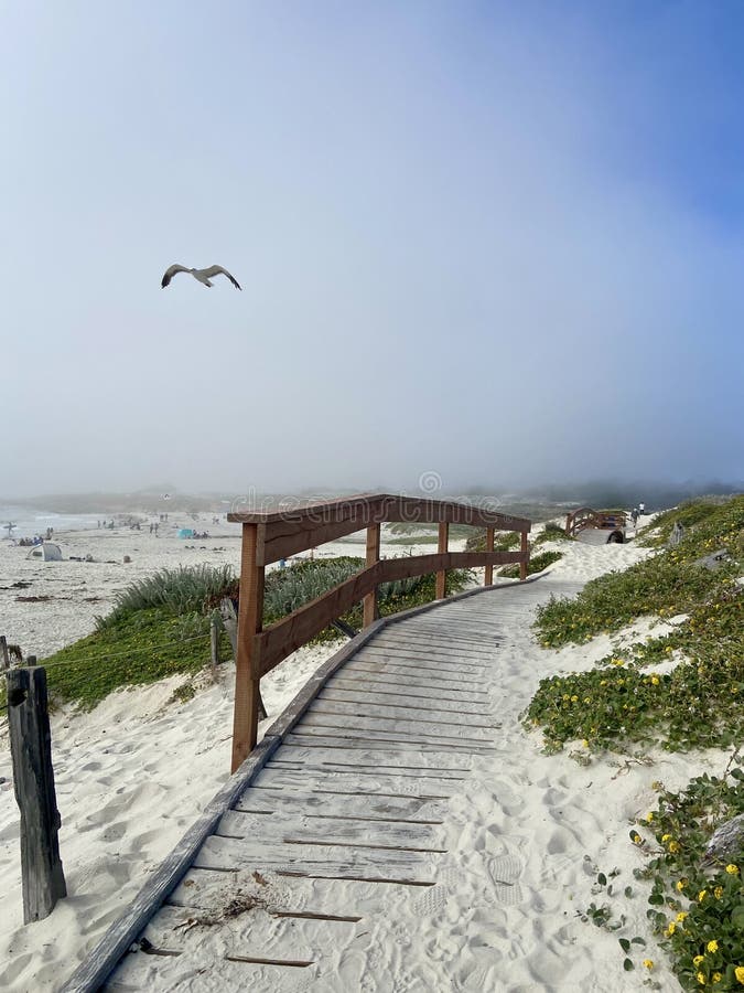 Beach Sidewalk strolls stock image. Image of bridges - 341981795