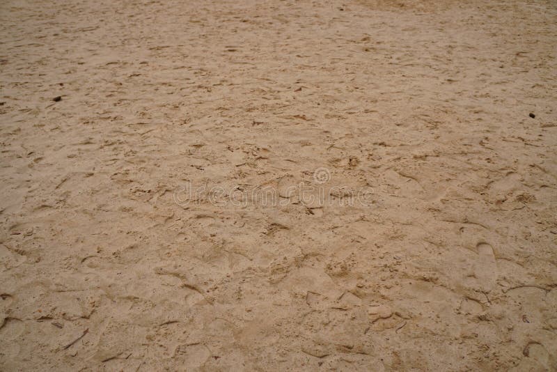 1,038 Brown Footsteps Stock Photos - Free & Royalty-Free Stock Photos ...