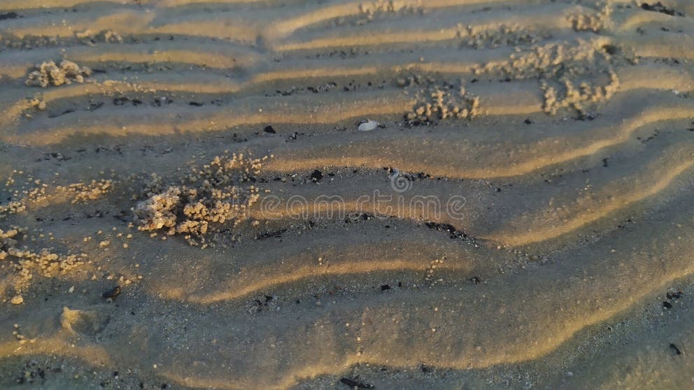 Beach Soil Texture at Low Tide Stock Photo - Image of closeup, backdrop ...
