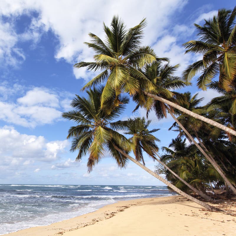 Beach square stock photo. Image of paradise, dream, travel - 20113176