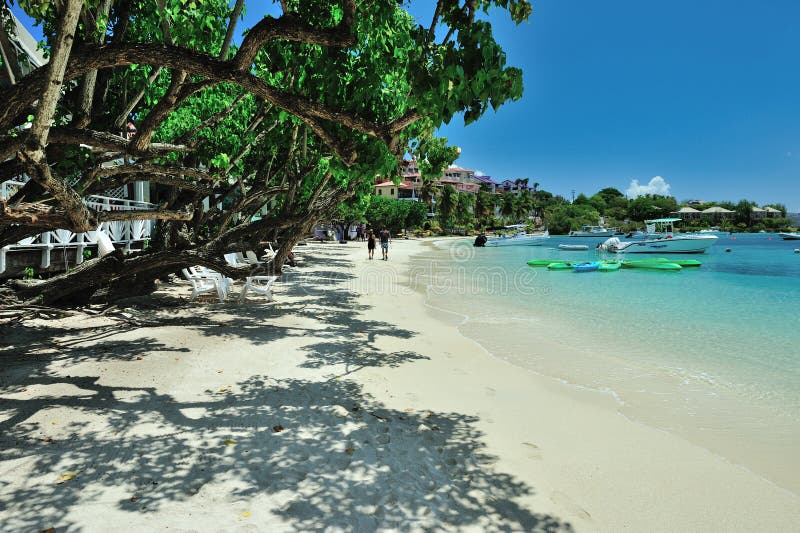 Populated Beach, Us Virgin Islands Stock Image - Image of turquoise ... Populated Beach, Us Virgin Islands Stock Image - Image of turquoise ...