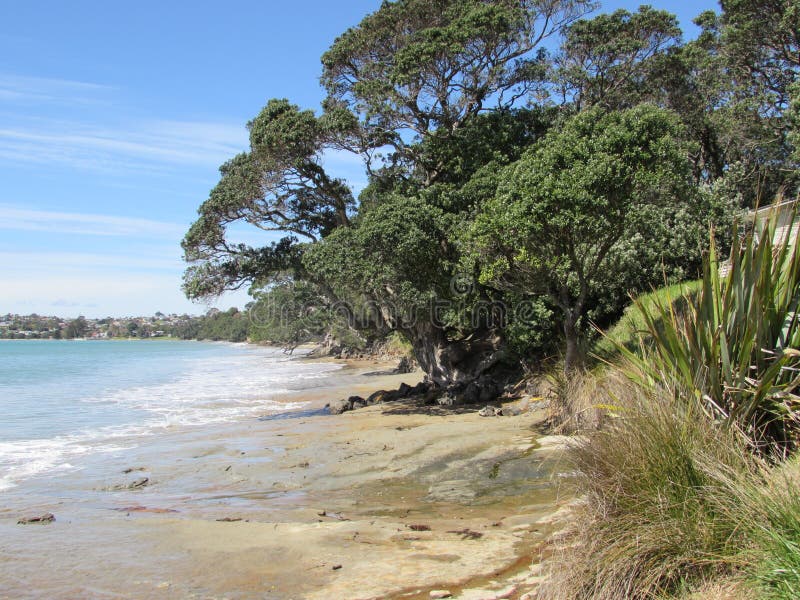 Stanmore Bay Beach Stock Photos - Free & Royalty-Free Stock Photos from ...