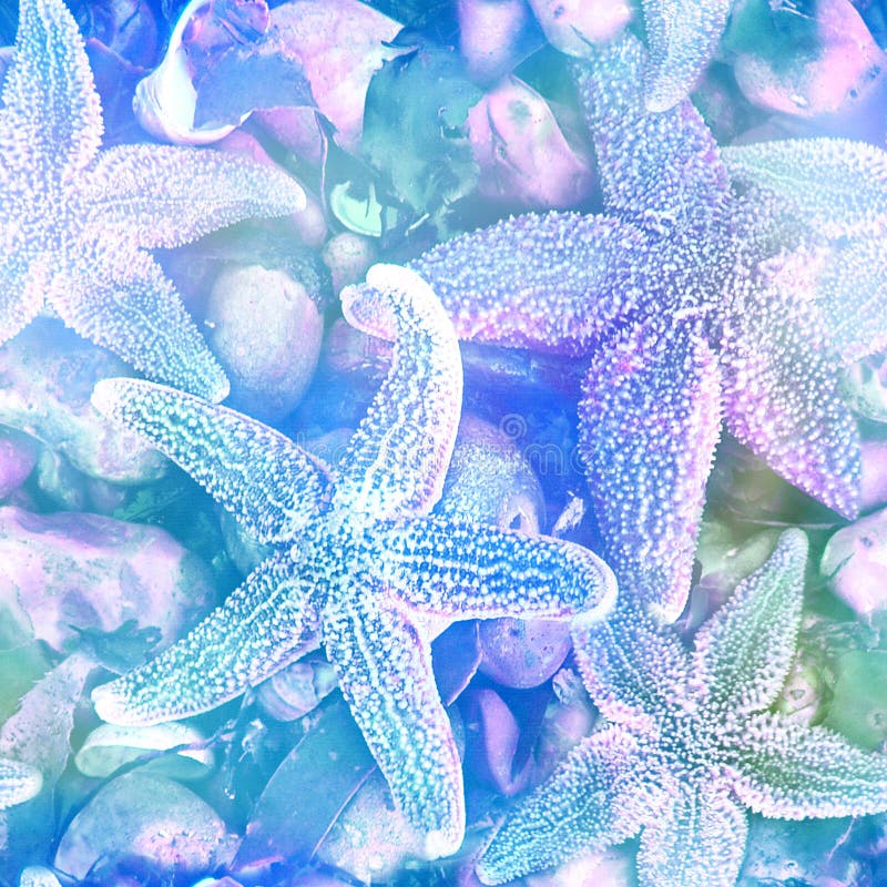 Beach Starfish and Shell Print Stock Illustration - Illustration of ...