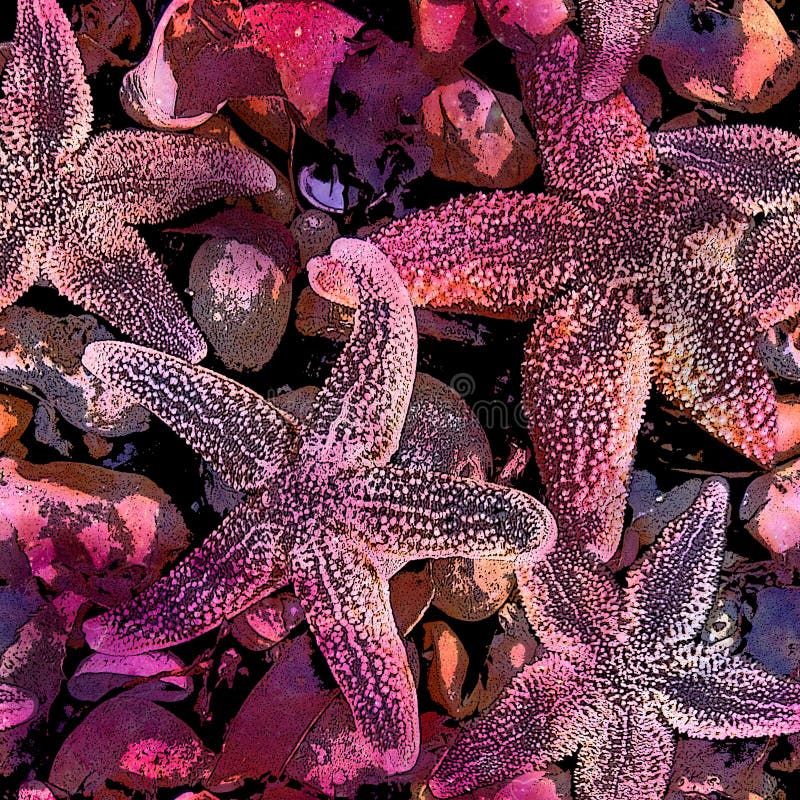 Beach Starfish and Shell Print Stock Illustration - Illustration of ...