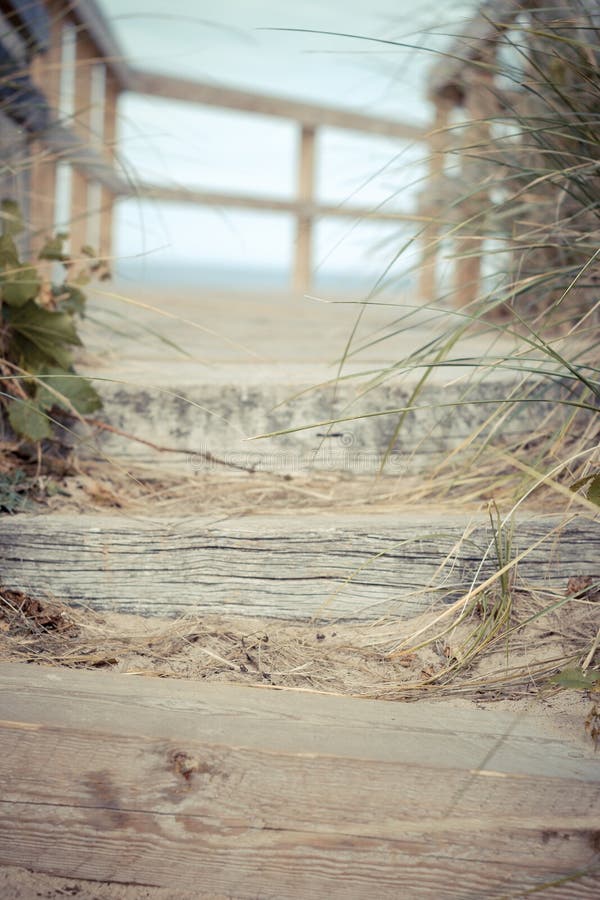Beach Steps stock image. Image of michigan, lake, grass - 42429577