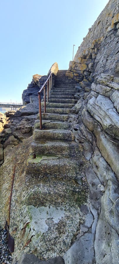 Beach steps rocks stock photo. Image of reflection, tree - 216663706