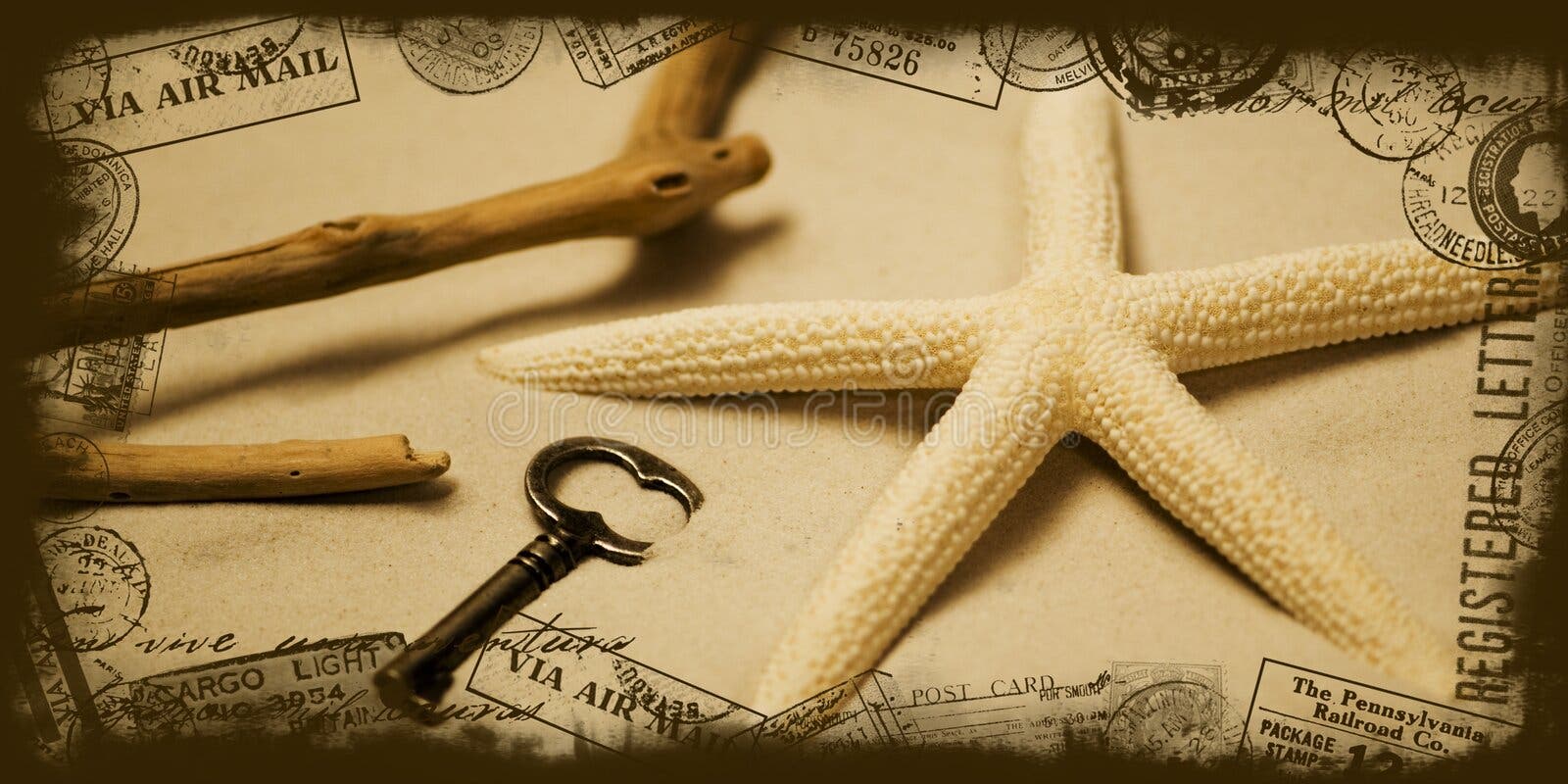 Beach still life stock photo. Image of beach, starfish - 3496602
