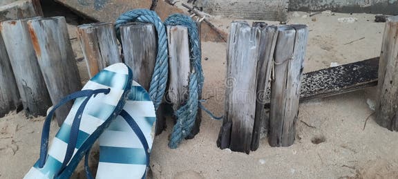 Beach still life stock image. Image of beach, summer - 190092103