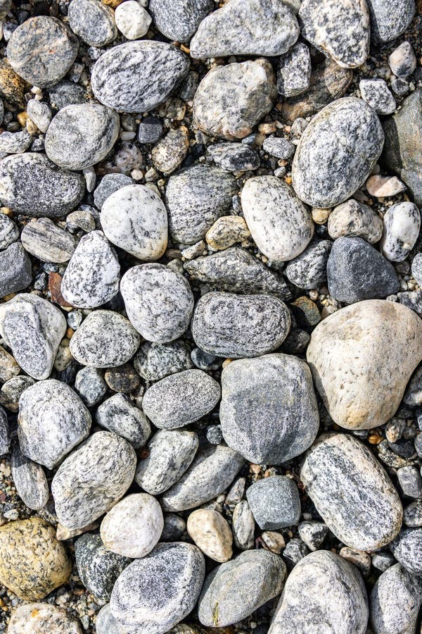 Beach Stones in Different Shapes. Stock Photo - Image of size ...