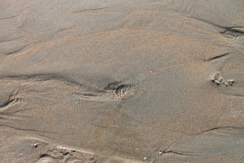 Beach Structures In The Sand Stock Photo - Image of soil, coast: 51372194