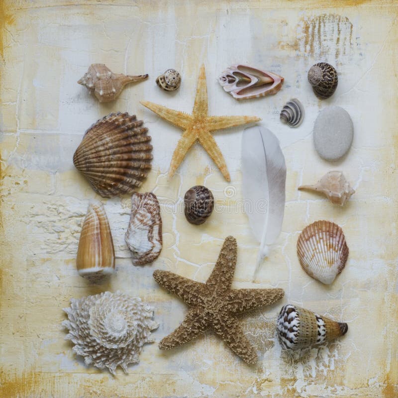 Fruit drinks collage stock photo. Image of drink, beverage - 32257960